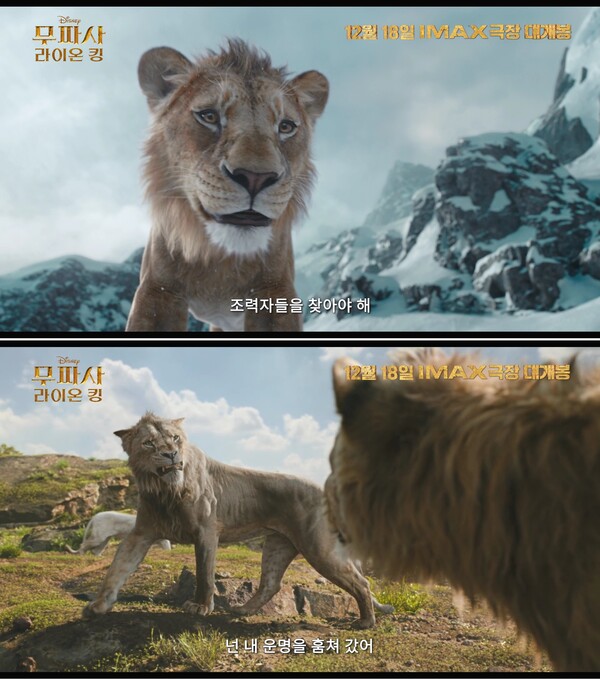 '라이온 킹' 위대한 전설의 시작→디즈니 오리지널 '무파사: 라이온 킹' 12월 18일 개봉 확정
